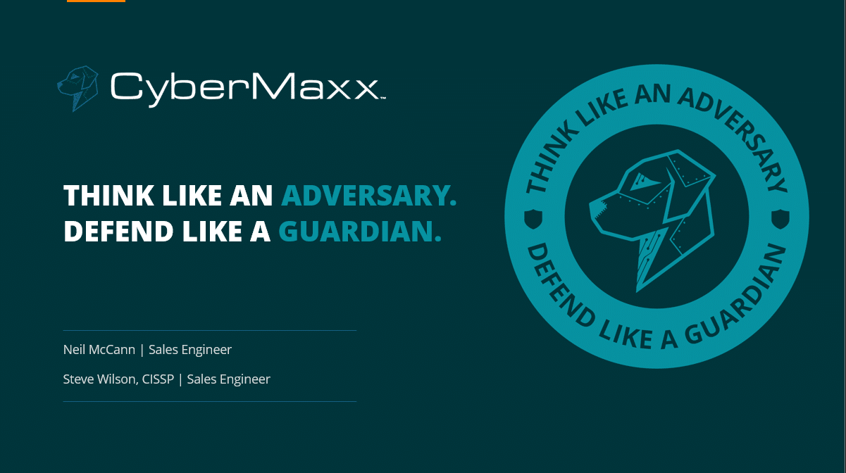 What is Penetration Testing? The Role of Pen Testing in Cybersecurity ...